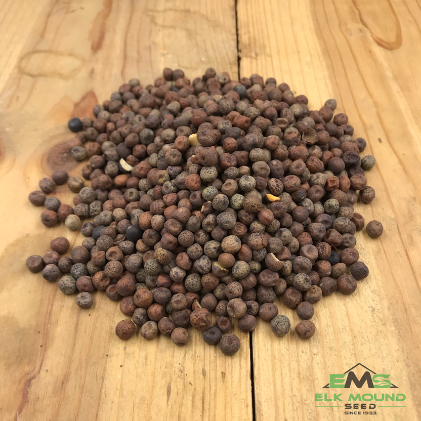 Products – Elk Mound Seed