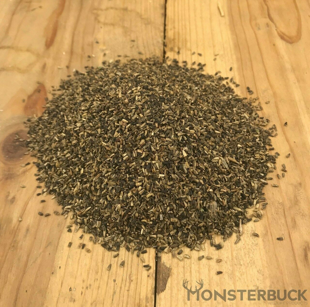 chicory, food plot, deer, whitetail, green leaf, clover – Elk Mound Seed