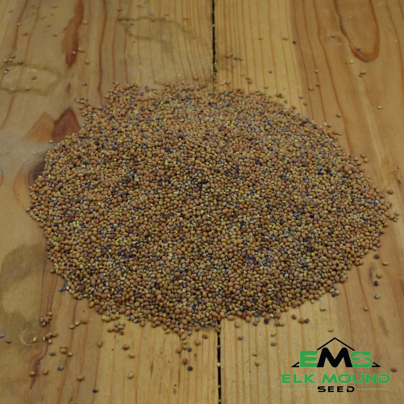 Farm, Corn, Wildflower Seed, Food Plot Seeds | Elk Mound Seed