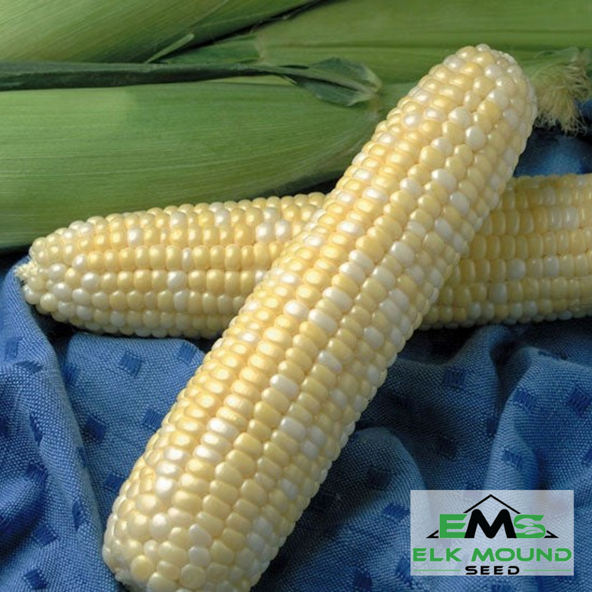 Farm Seed, Corn Seed, Wildflower Seed, Food Plot Seeds | Elk Mound See ...