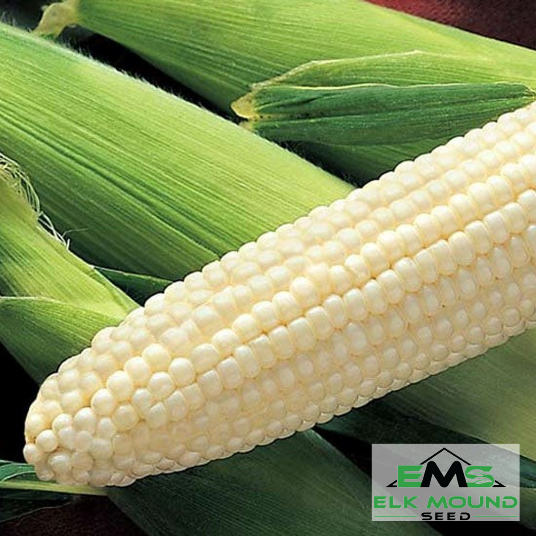 Farm Seed, Corn Seed, Wildflower Seed, Food Plot Seeds | Elk Mound See ...