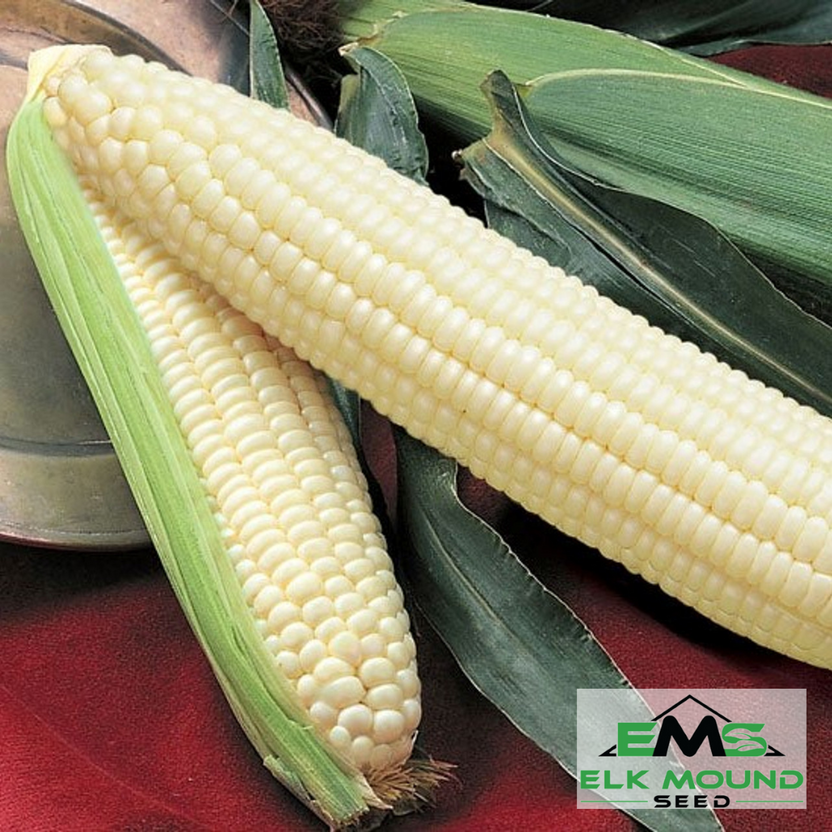 Farm Seed, Corn Seed, Wildflower Seed, Food Plot Seeds | Elk Mound See ...