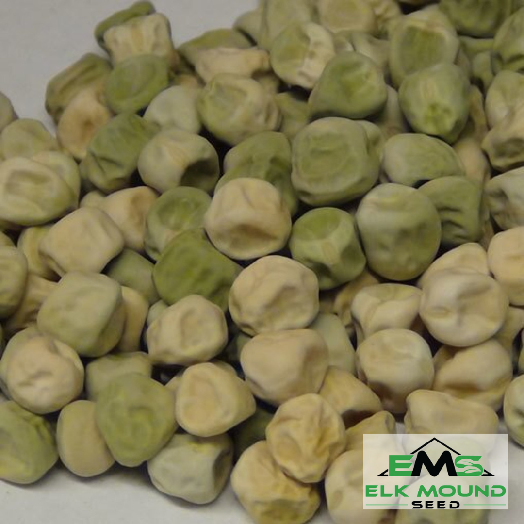 Sugar Snap Pea, edible pod pea, sweet crisp flavor, climbing garden pea ...