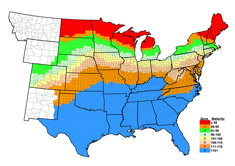Seed Corn Resources PDFs | Elk Mound Seed